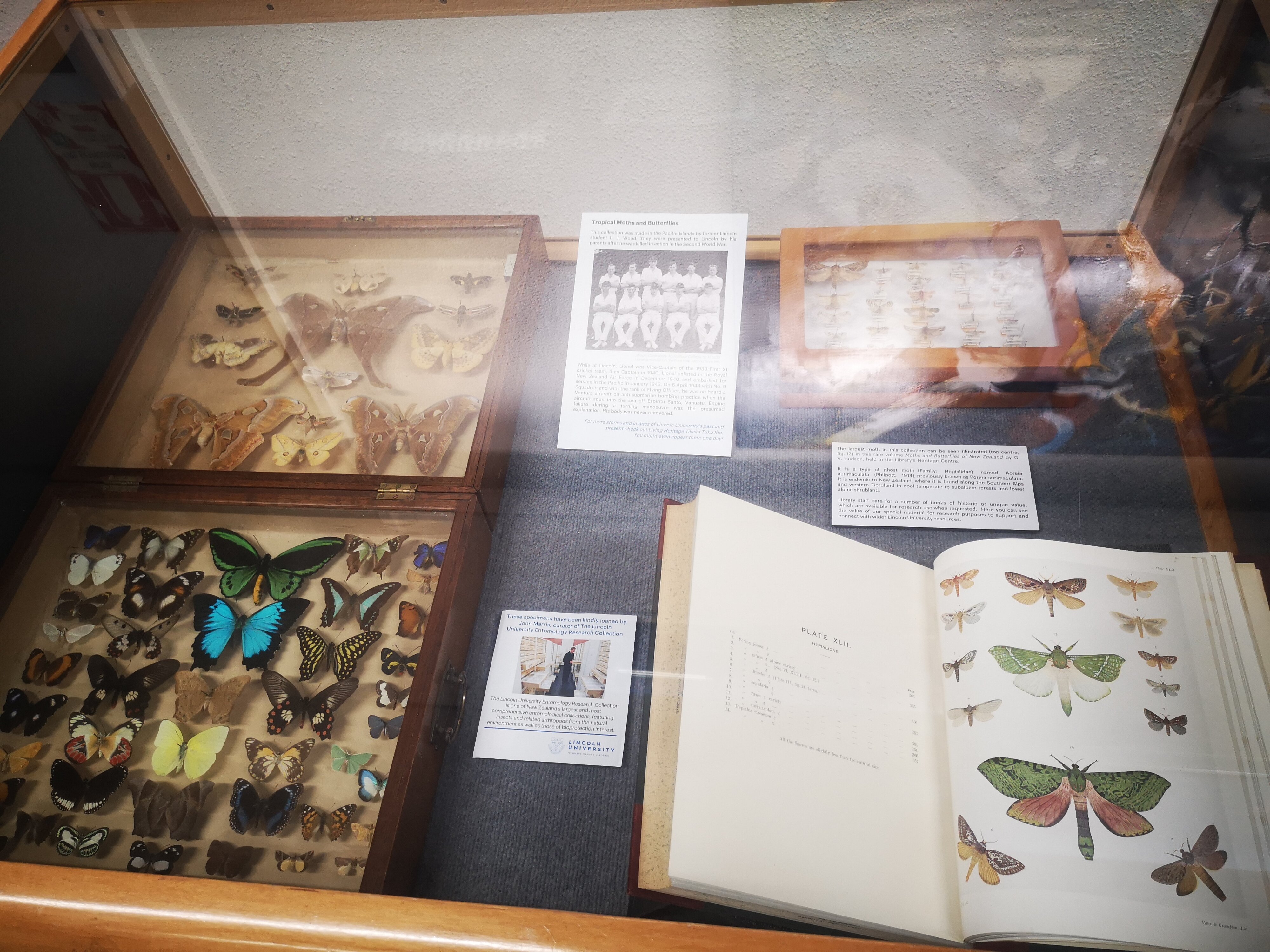 Heritage display | Lincoln University Living Heritage: Tikaka Tuku Iho